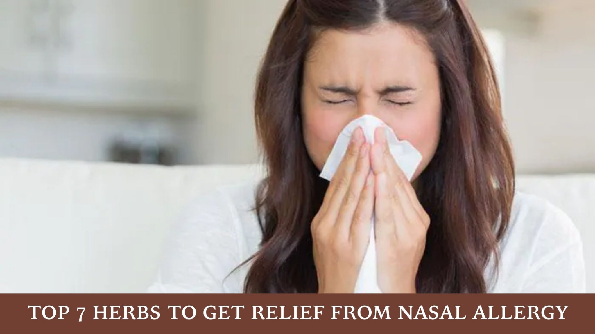 Top 7 Herbs to Get Relief from Nasal Allergy